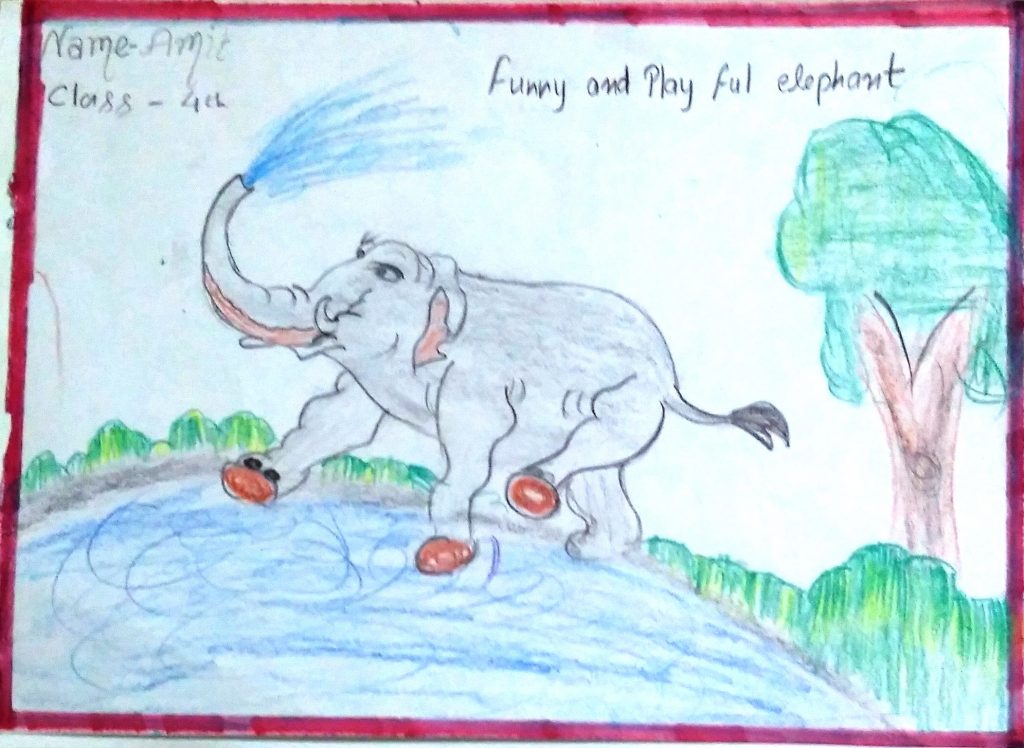 An Elephant for a Book | Elephant Minds